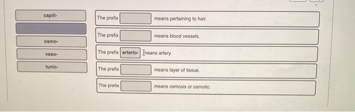 Solved capill- The prefix means pertaining to hair. The | Chegg.com