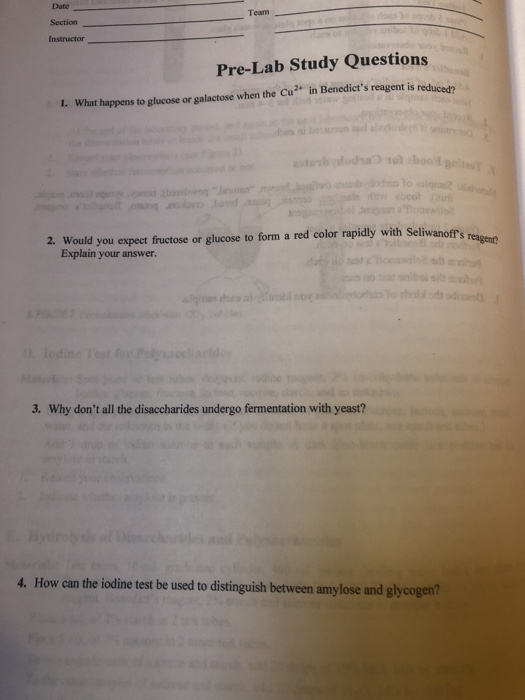 Solved Team Date Section Instructor Pre-Lab Study Questions | Chegg.com