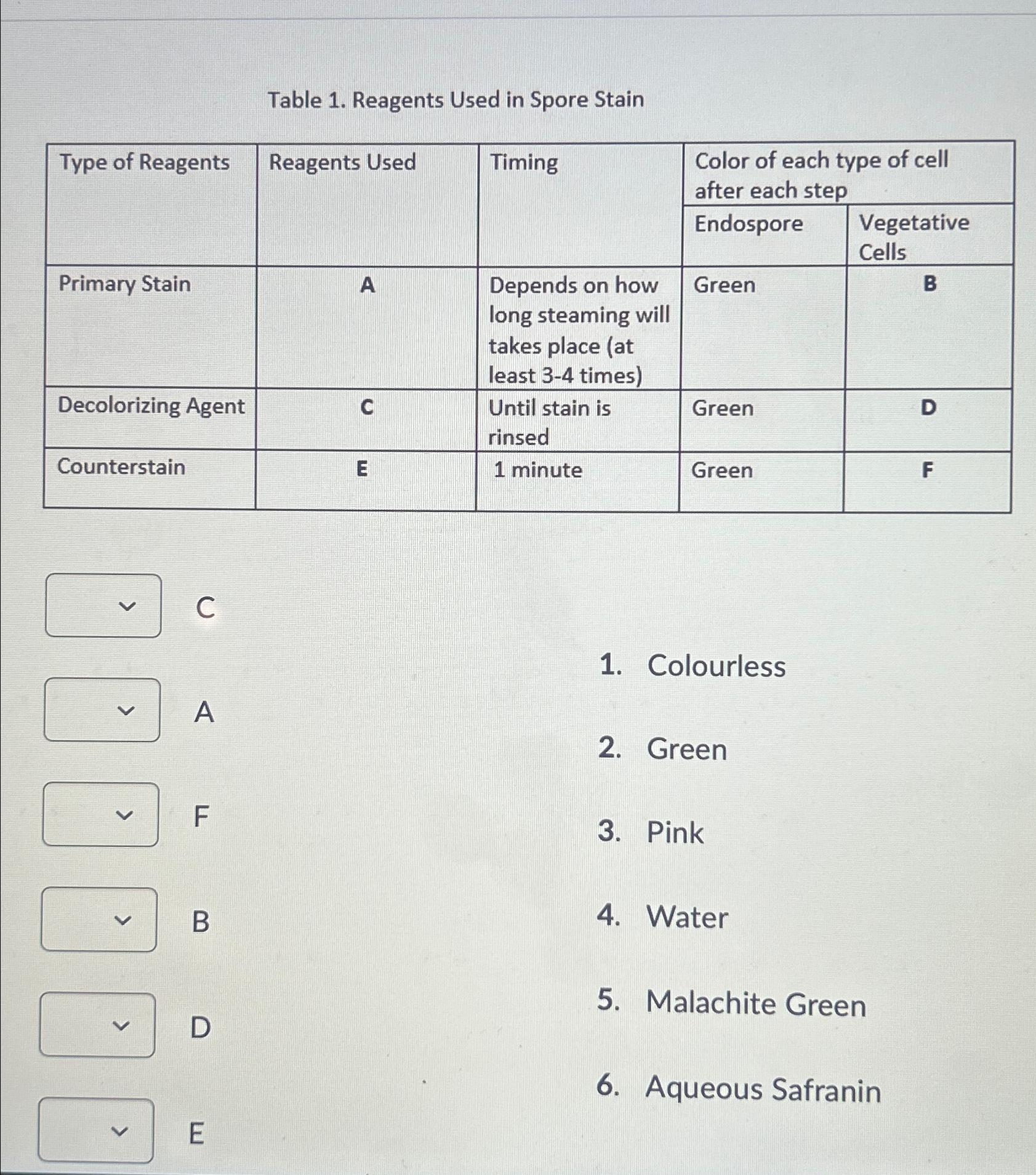 Solved Table 1. ﻿Reagents Used in Spore Stain\table[[Type of | Chegg.com