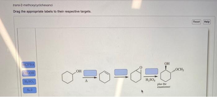 Solved trans-2-methoxycyclohexanol Drag the appropriate | Chegg.com
