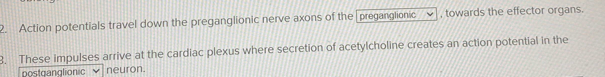 Solved Action potentials travel down the preganglionic nerve | Chegg.com