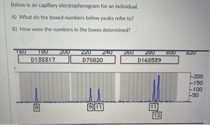 Solved Below is an capillary electropherogram for an | Chegg.com