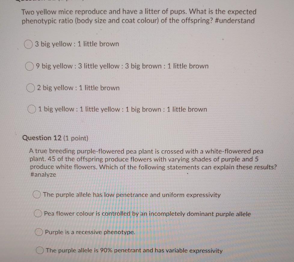 Solved Two yellow mice reproduce and have a litter of pups. | Chegg.com