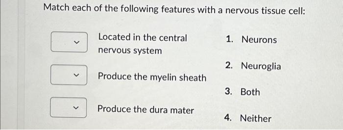 Solved answer fadt Match each of the following features with | Chegg.com