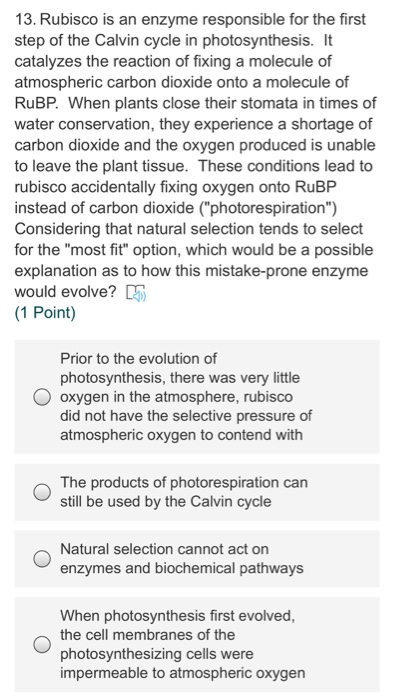 Solved 13. Rubisco is an enzyme responsible for the first | Chegg.com