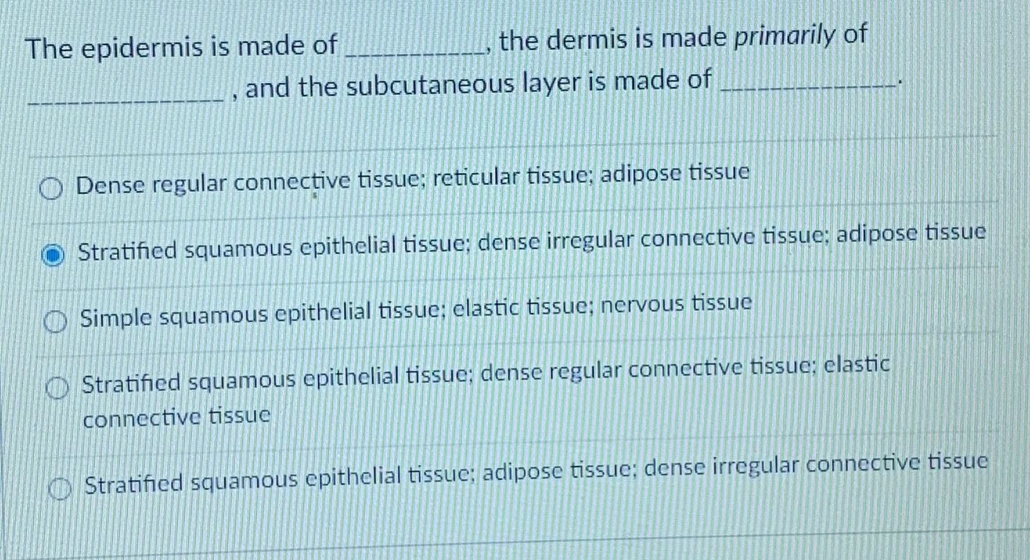 Solved The epidermis is made of the dermis is made primarily | Chegg.com