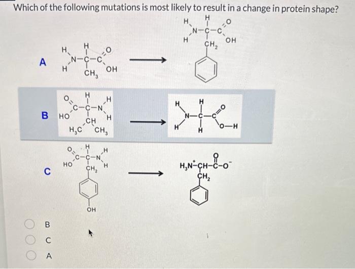 Solved Which of the following mutations is most likely to | Chegg.com
