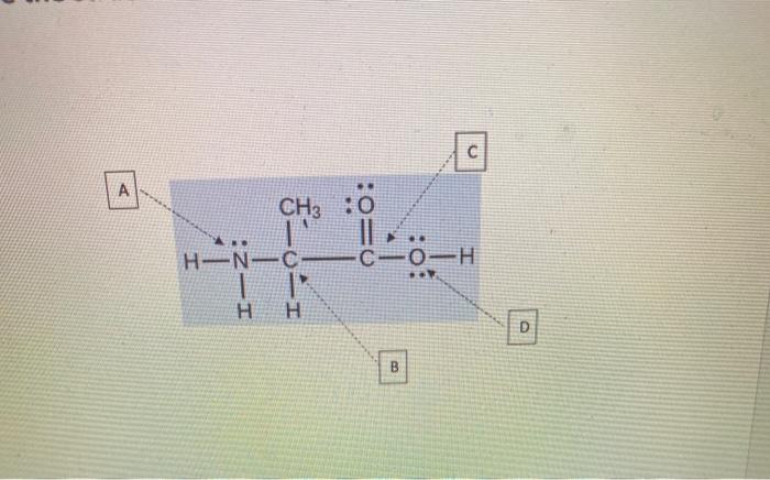 Solved C 4 COH B HO=0 عن - 0 ZI I A Consider the Lewis | Chegg.com