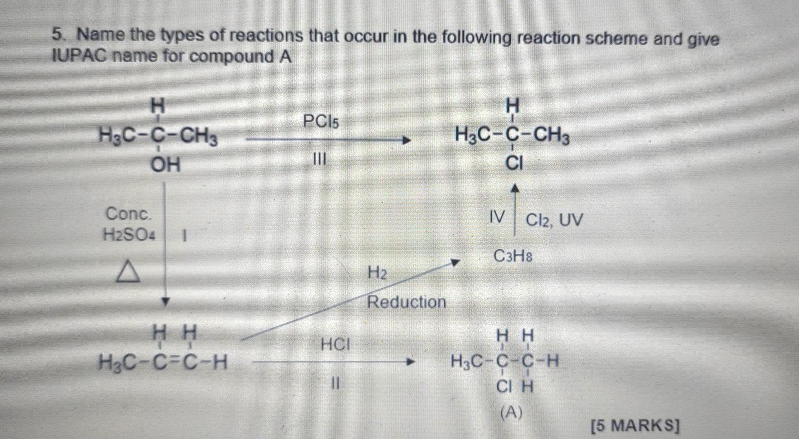 Solved 5. Name the types of reactions that occur in the | Chegg.com