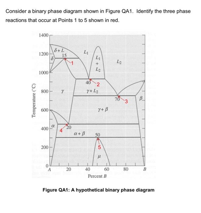 Solved Consider a binary phase diagram shown in Figure QA1. | Chegg.com