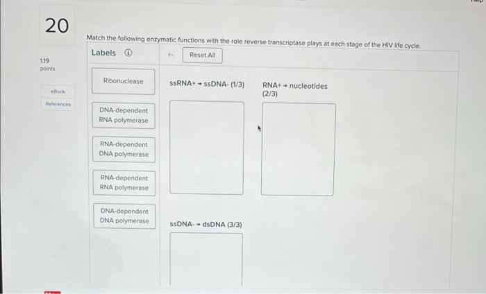 Solved 20 Match the following enzymatic functions with the | Chegg.com