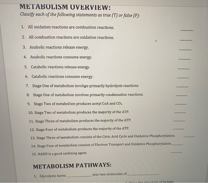 Solved METABOLISM OVERVIEW: Classify each of the following | Chegg.com