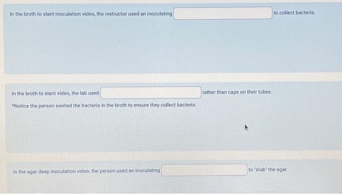 Solved In the broth to slant inoculation video, the | Chegg.com Solved In the broth to slant inoculation video, the | Chegg.com