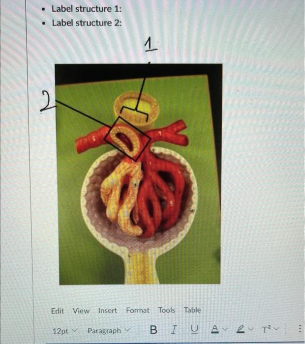 Solved - Label structure 1: - Label structure 2: | Chegg.com