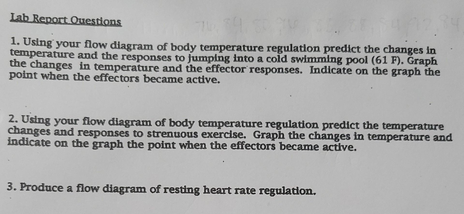 Solved 12 Lab Report Questions 7 1. Using your flow diagram | Chegg.com
