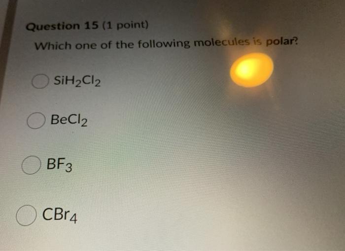 Solved Question 15 (1 point) Which one of the following | Chegg.com