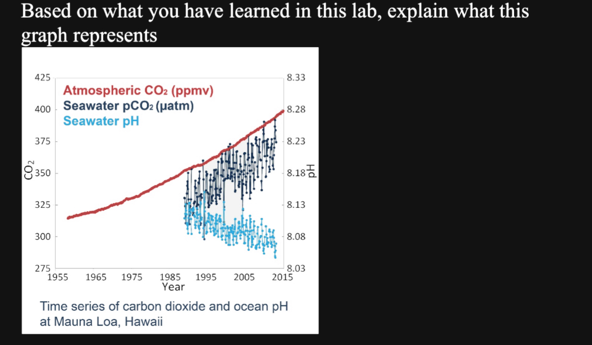 Solved Based on what you have learned in this lab, explain | Chegg.com