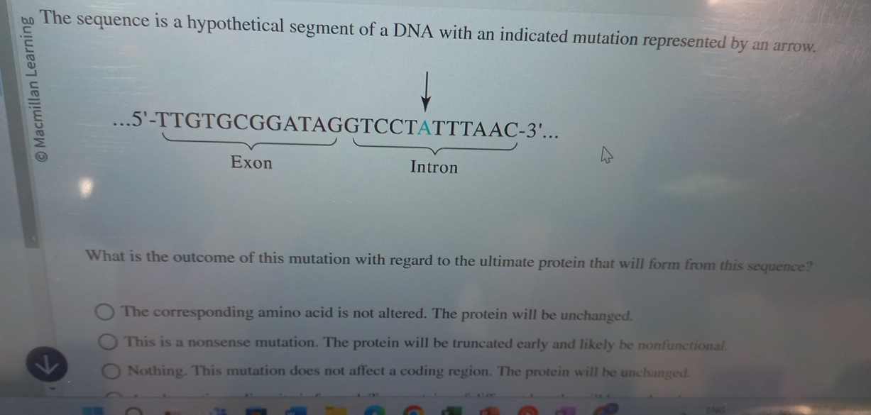 Solved wo The sequence is a hypothetical segment of a DNA | Chegg.com