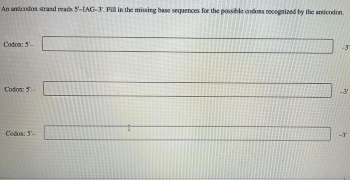 Solved Write all possible codons recognized by each of the | Chegg.com