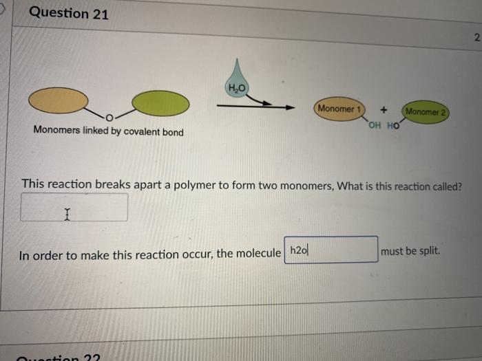 Solved Question 21 2 HO Monomer 1 Monomer 2 OH HO Monomers | Chegg.com