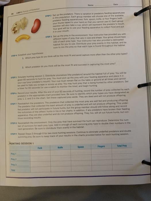 EXERCISE 2 NATURAL SELECTION ACTIVITY Work in a small | Chegg.com