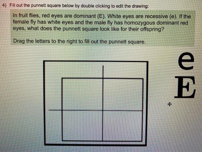 Solved 1) Fill in the chart below with what the GENOTYPE is | Chegg.com