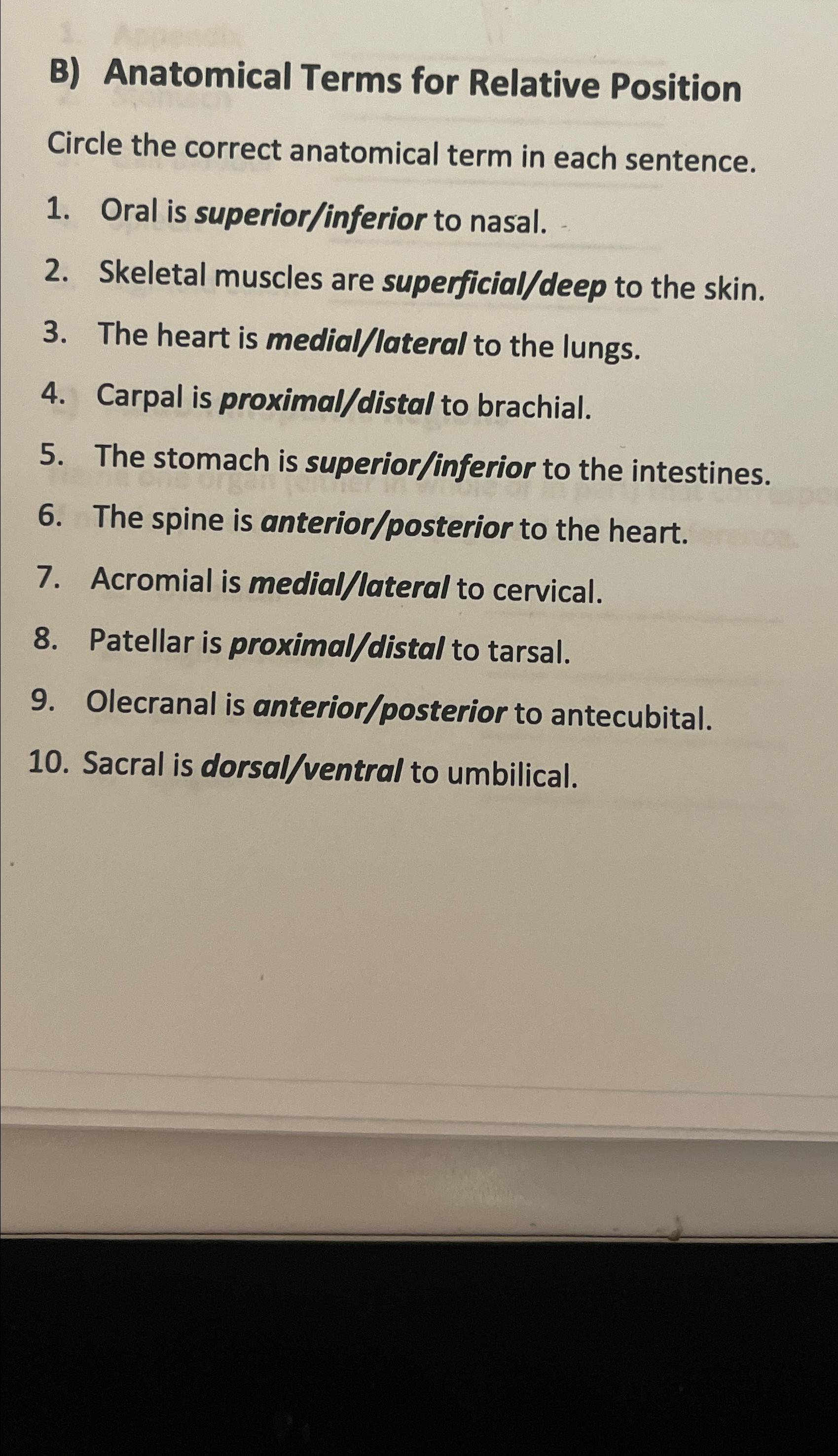 Solved B) ﻿Anatomical Terms for Relative PositionCircle the | Chegg.com