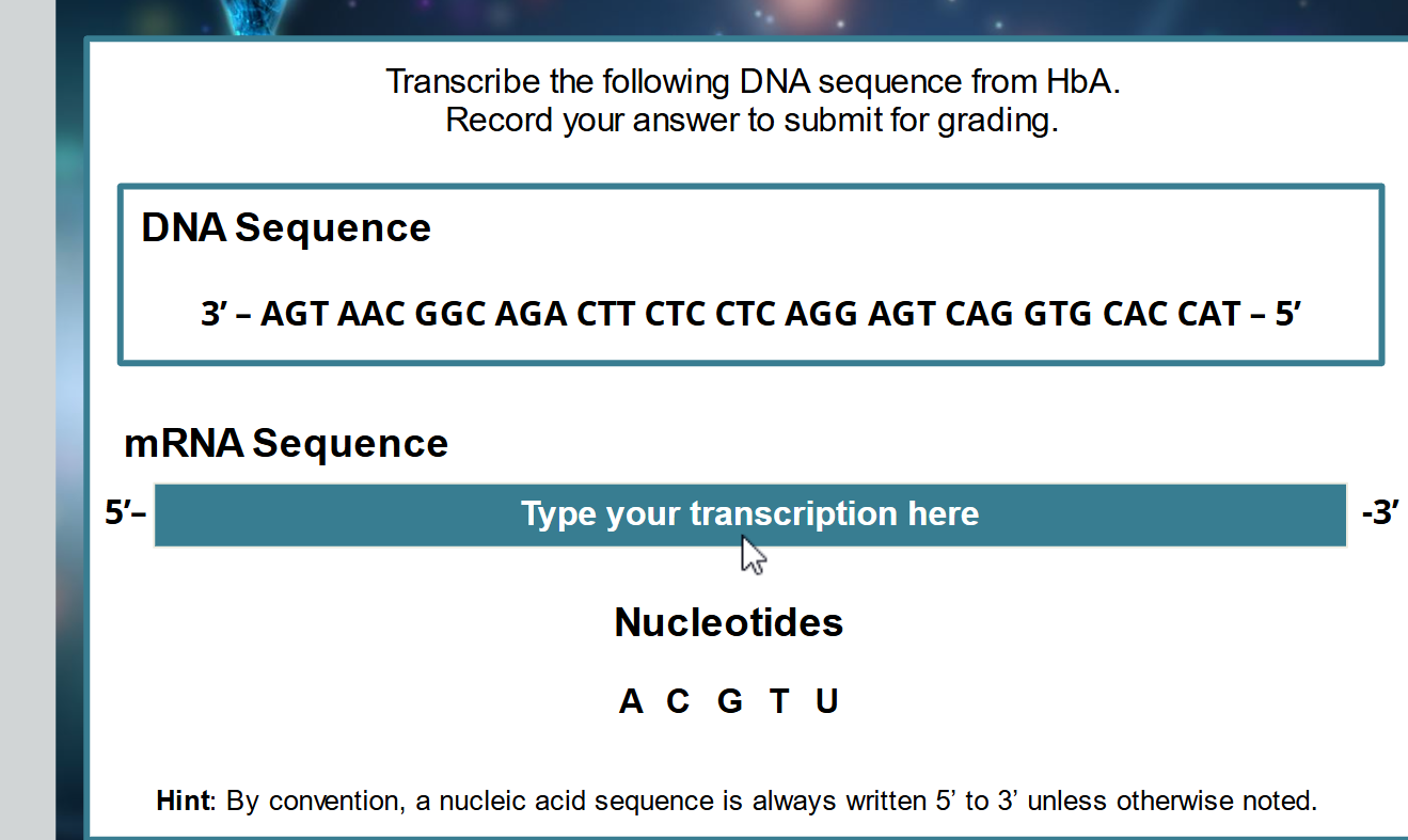 Solved Transcribe the following DNA sequence from HbA | Chegg.com Solved Transcribe the following DNA sequence from HbA | Chegg.com