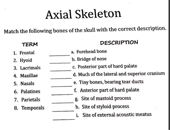 Solved Match the following bones of the skull with the | Chegg.com