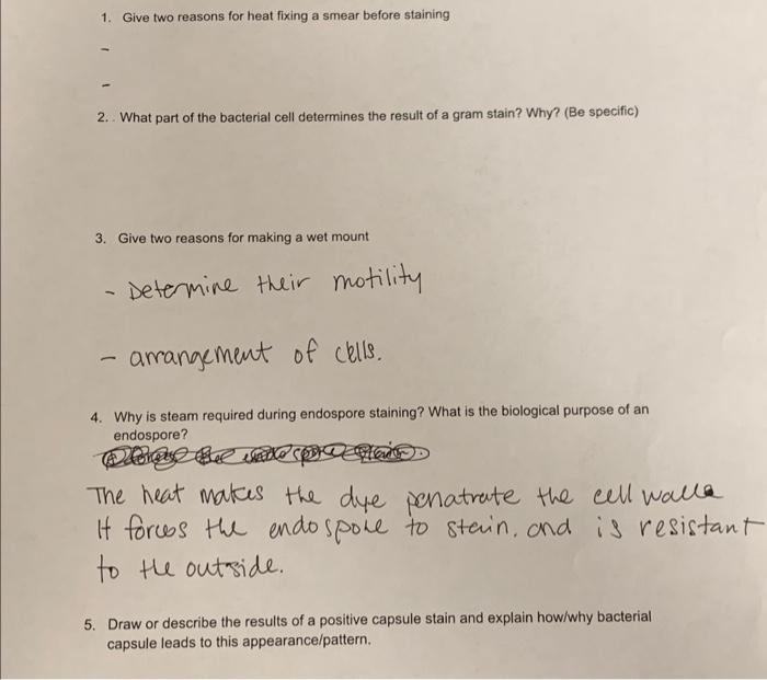 Solved 1. Give two reasons for heat fixing a smear before | Chegg.com