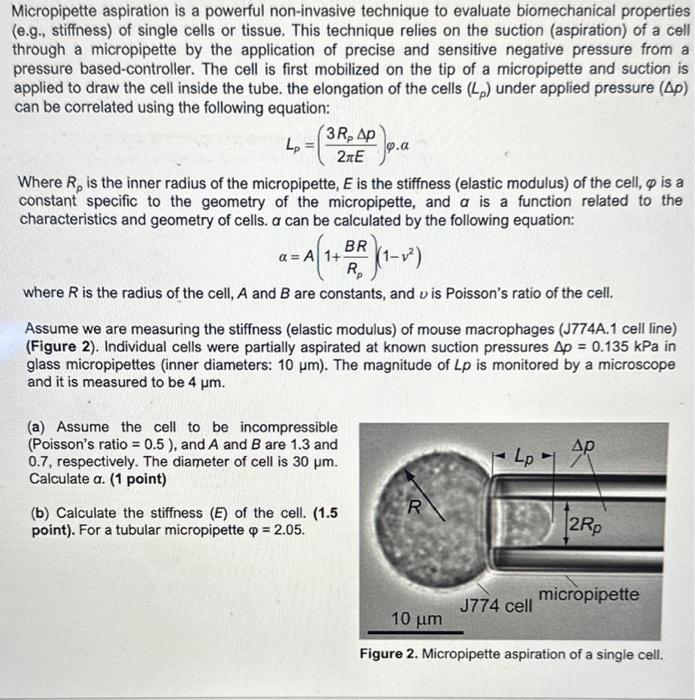 Solved Micropipette aspiration is a powerful non-invasive | Chegg.com