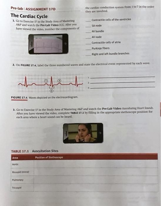 Solved the cardiac conduction system from 1 to 7 in the | Chegg.com