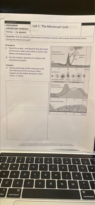 Solved CHAPTER 14 ASSESSMENT Lab C. The Menstrual Cycle | Chegg.com