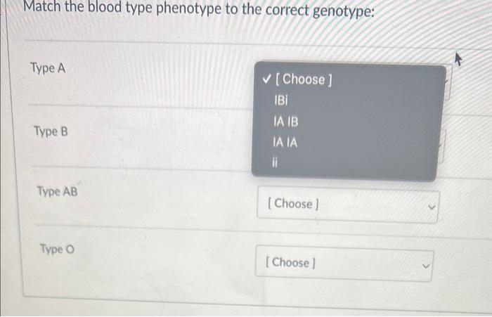 Solved Match the blood type phenotype to the correct | Chegg.com