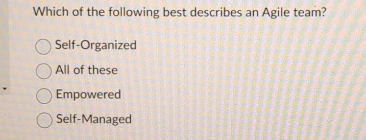 Solved Which of the following best describes an Agile | Chegg.com