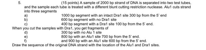 Solved 5. (15 points) A sample of 2000 bp strand of DNA is | Chegg.com