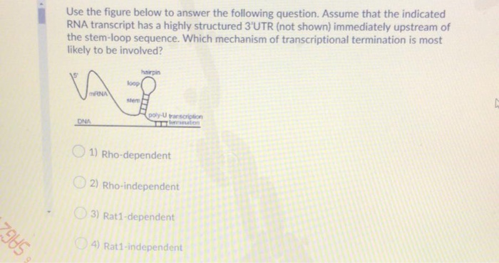 Solved Use the figure below to answer the following | Chegg.com