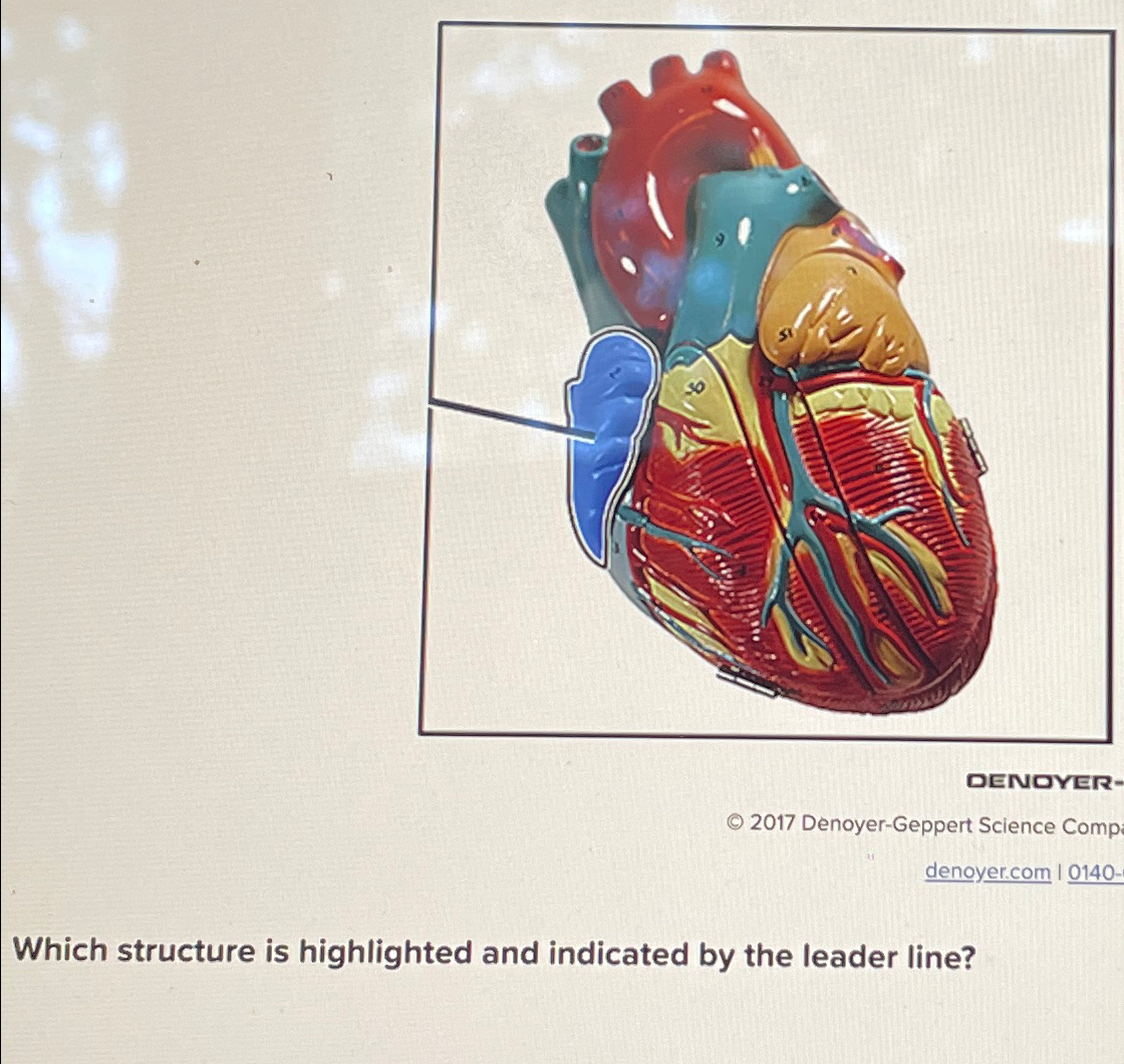 Solved C 2017 ﻿Denoyer-Geppert Science Compdenoyer.com | Chegg.com