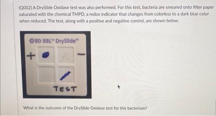 Solved (Q002) A DrySlide Oxidase test was also performed. | Chegg.com