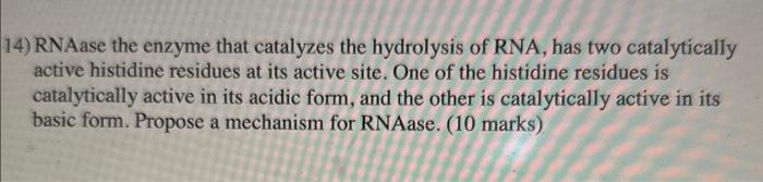 Solved 14) RNAase the enzyme that catalyzes the hydrolysis | Chegg.com