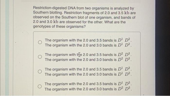 Solved List the size (in kilobases) of DNA bands detected by | Chegg.com