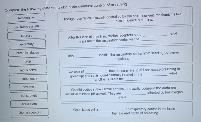 Solved Complete the following statements about the chemical | Chegg.com