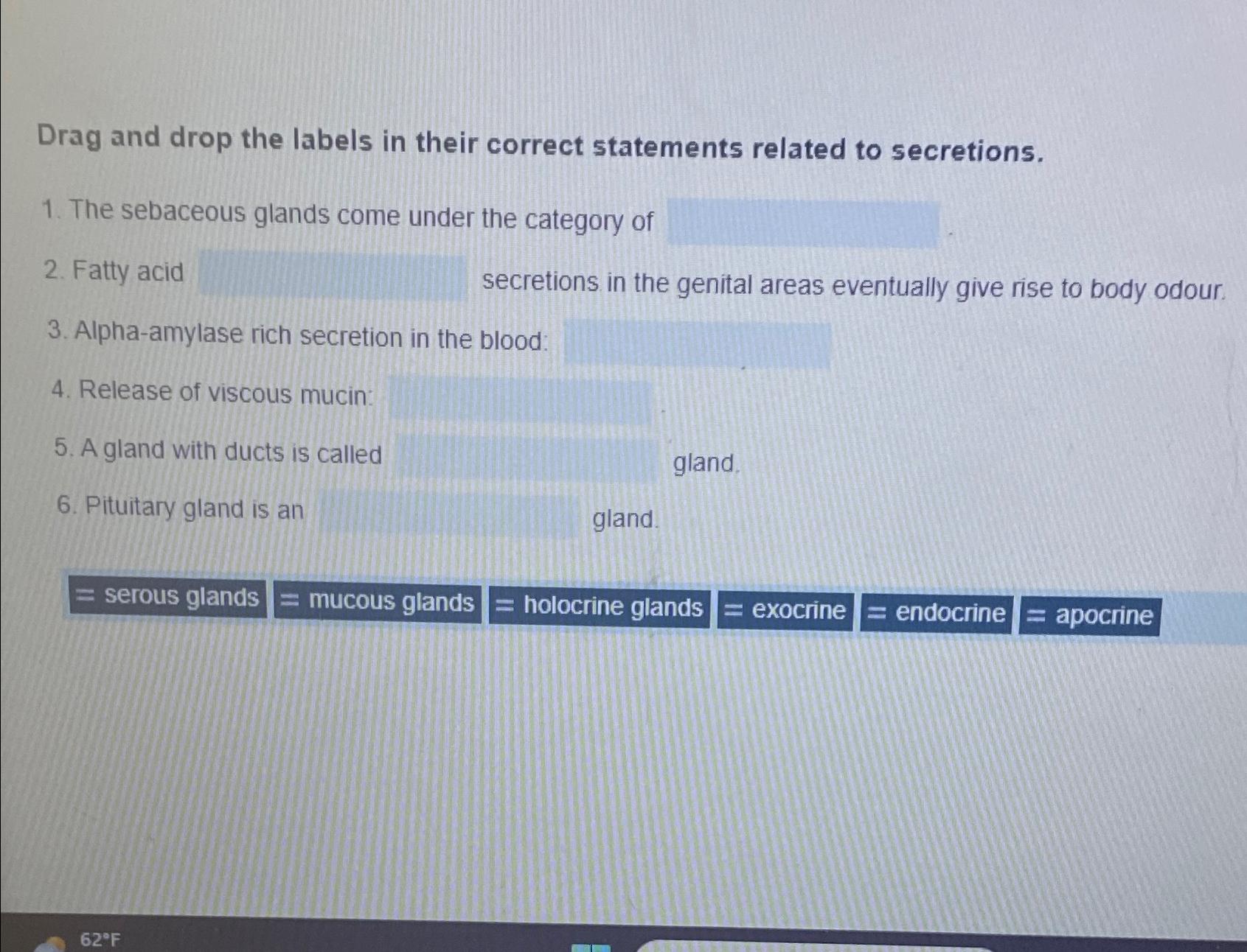 Solved Drag and drop the labels in their correct statements | Chegg.com