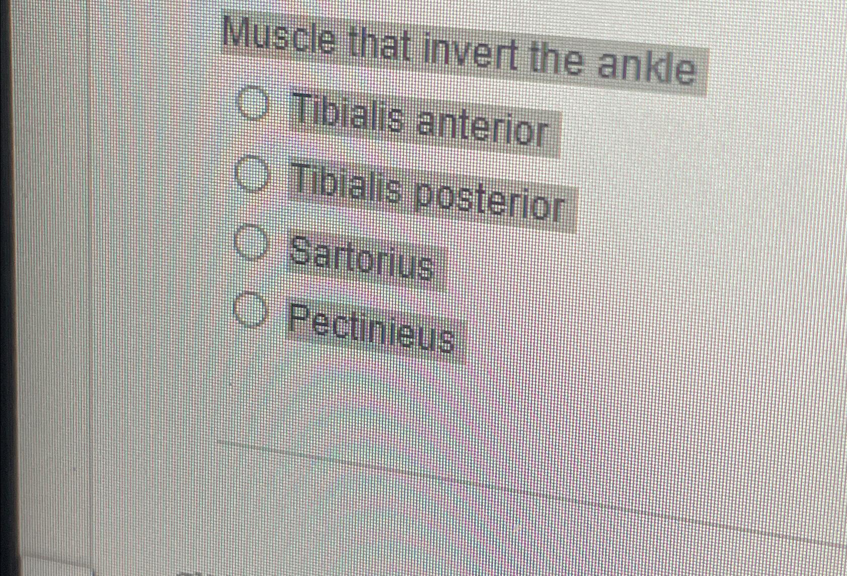 Solved Muscle that invert the ankleTibialis anteriorTibialis | Chegg.com