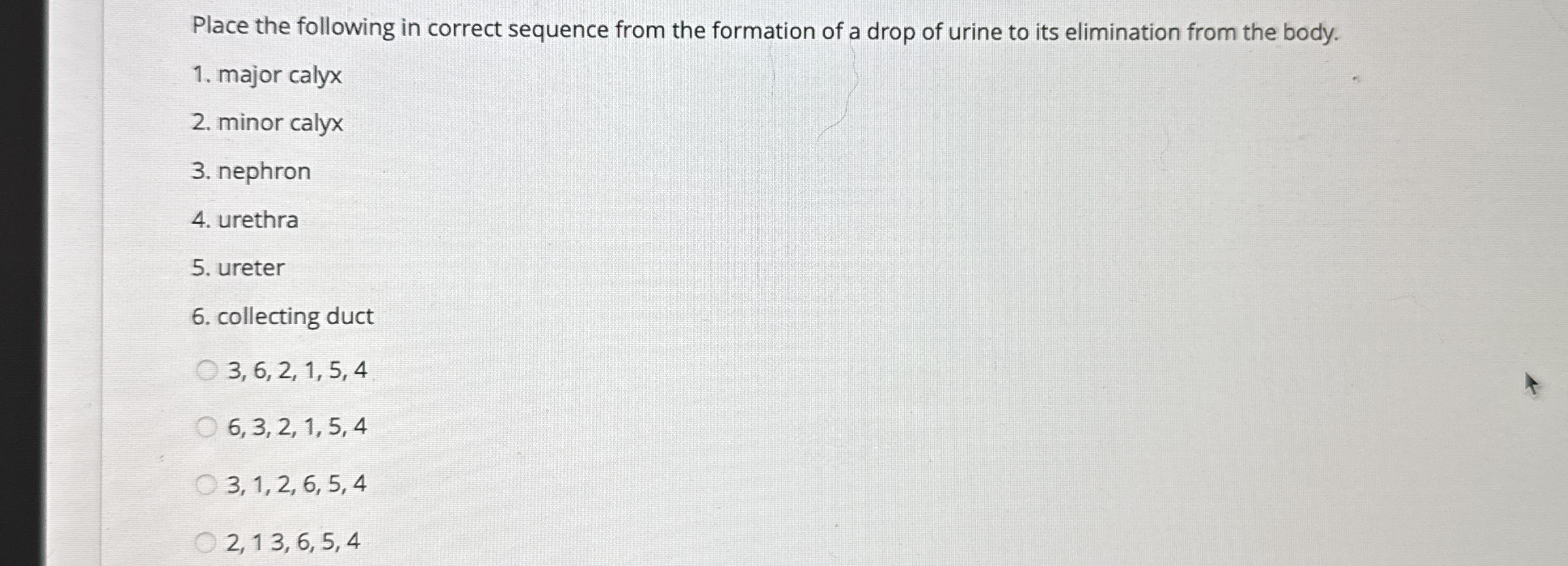 Solved Place the following in correct sequence from the | Chegg.com