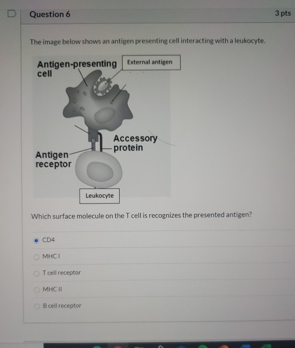 Solved Question 6 3 pts The image below shows an antigen | Chegg.com