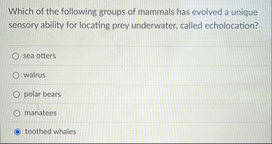 Solved Which of the following groups of mammals has evolved | Chegg.com