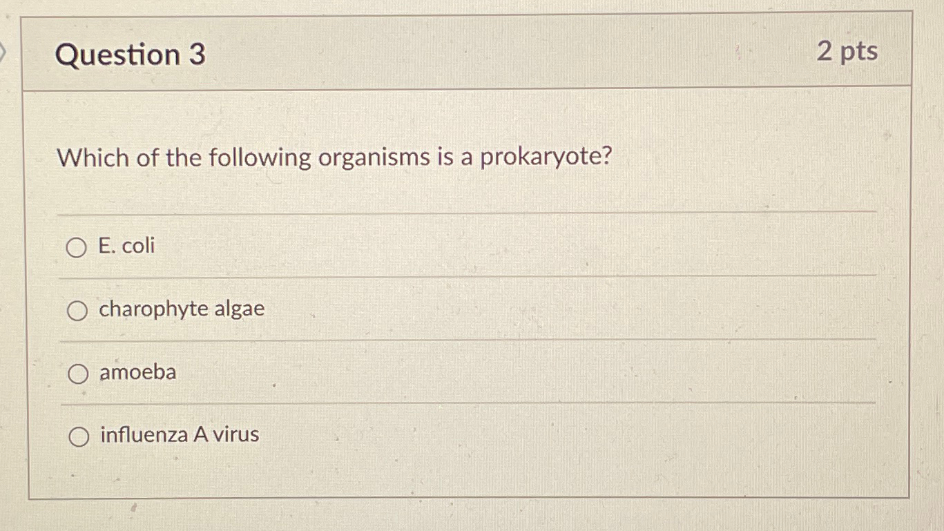 Solved Question 32 ﻿ptsWhich of the following organisms is a | Chegg.com