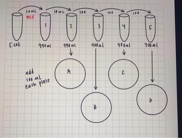 Solved Standard plate count 6-1 Results 3 of 3 E.coli | Chegg.com