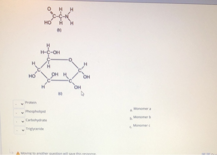 Solved Look at the image and the biological monomers a, b, | Chegg.com